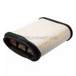 D37-1061 Air Filter - Express Shipping | 888 Truck Part